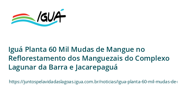 Iguá Planta 60 Mil Mudas de Mangue no Reflorestamento dos Manguezais do ...
